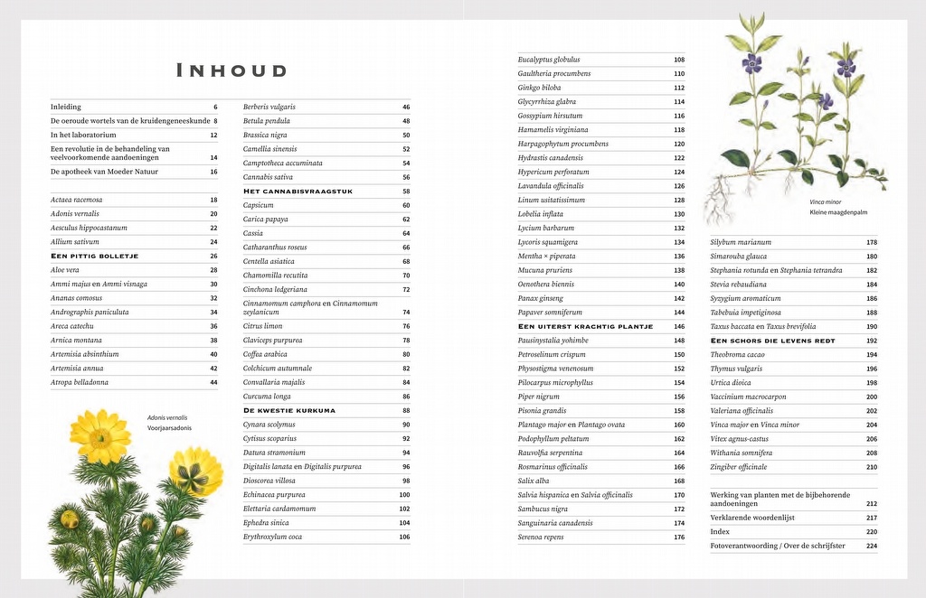 Botanicum Medicinale - Veldshop