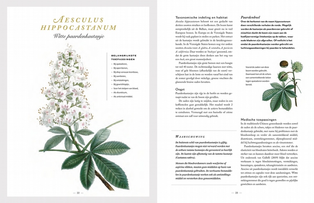 Botanicum Medicinale - Veldshop