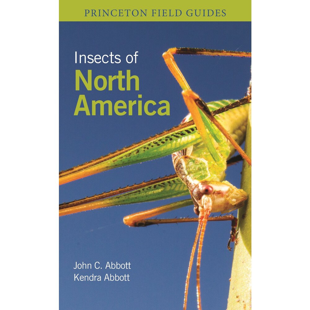Insects of North America - Veldshop.nl