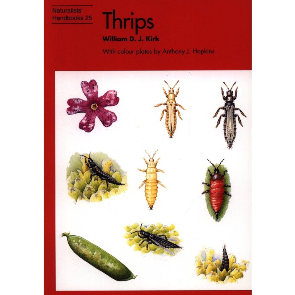 Thrips - Veldshop.nl