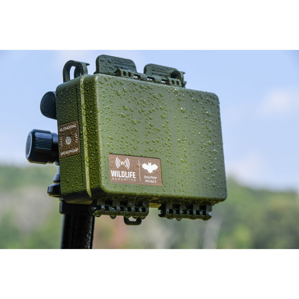 Song Meter Mini Bat 2 AA - Veldshop