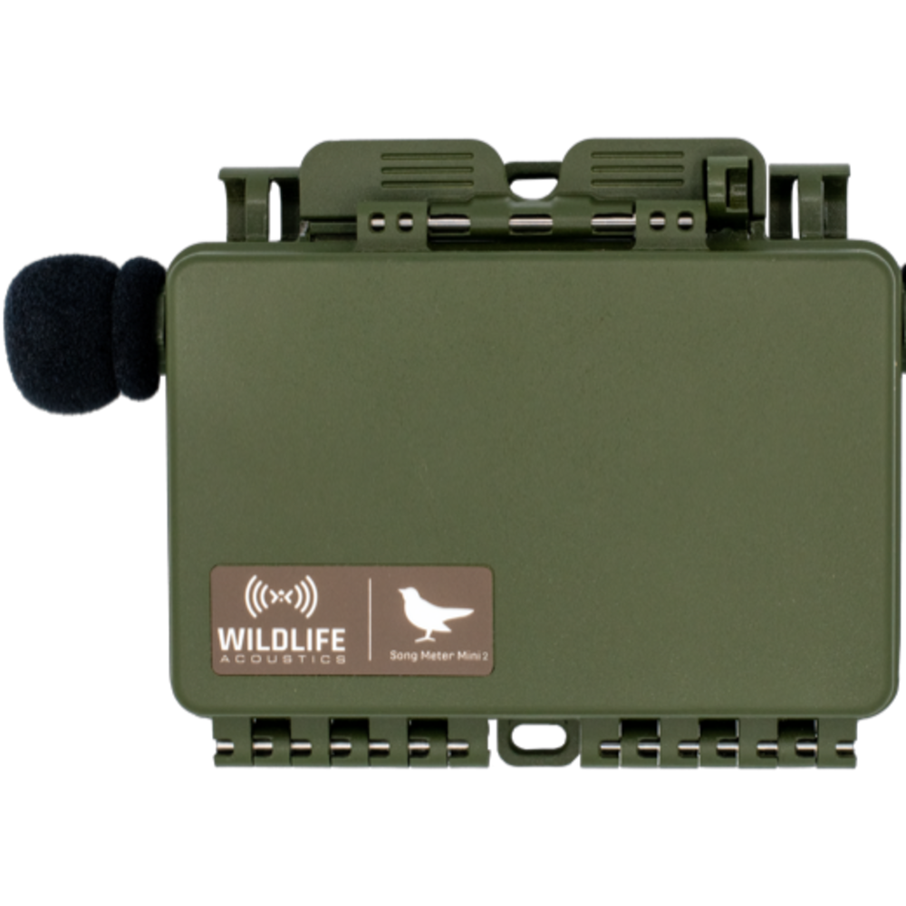 Song Meter Mini 2 AA - Veldshop