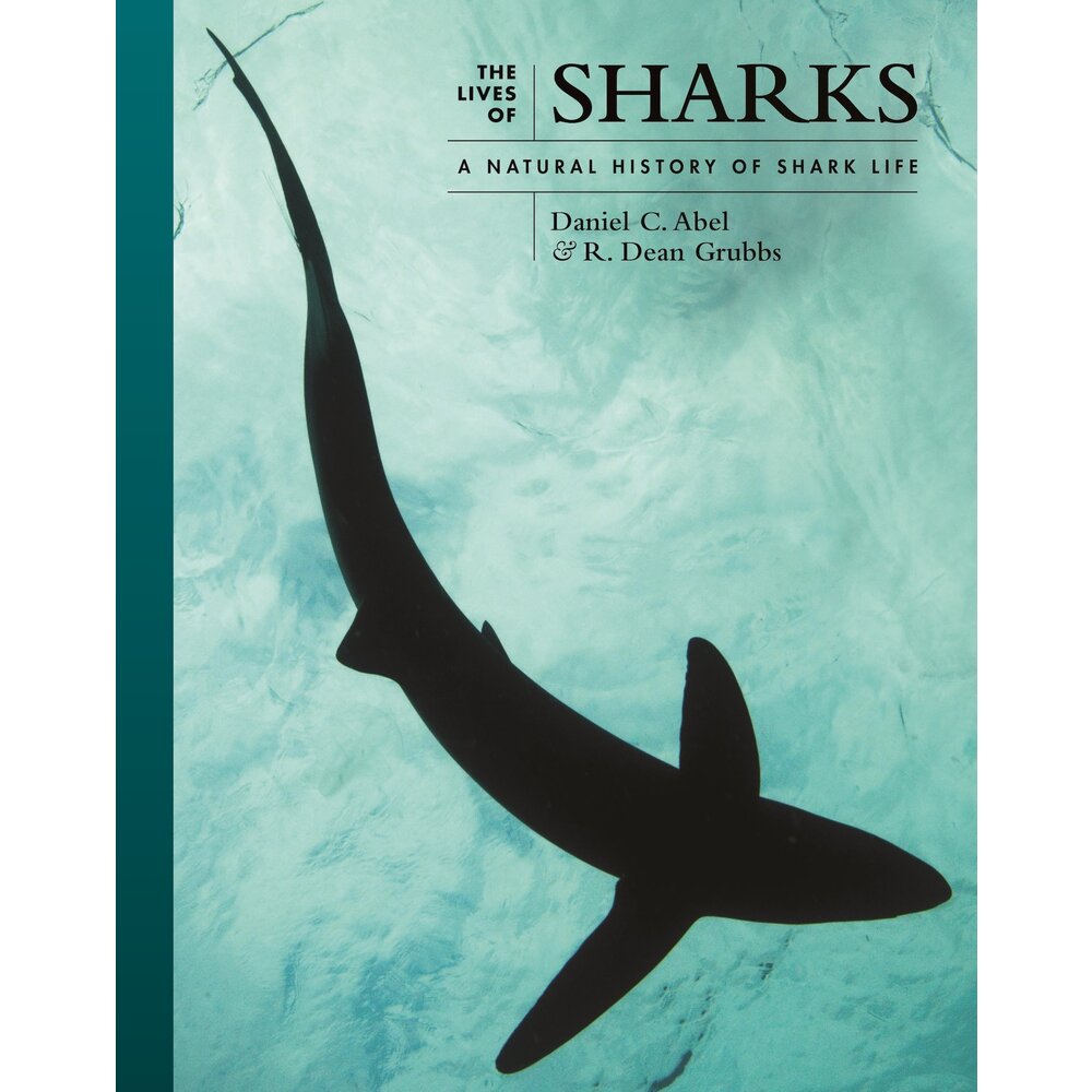 The Lives of Sharks: A Natural History of Shark Life - Veldshop.nl