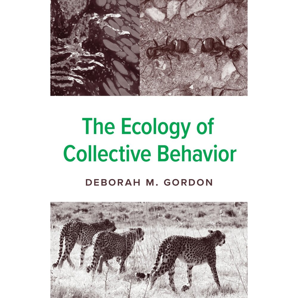The Ecology of Collective Behavior - Veldshop