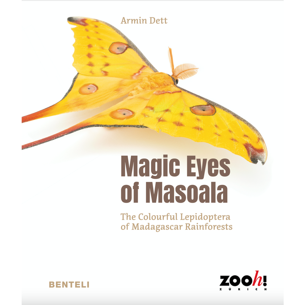 Magic Eyes Of Masoala Veldshopnl