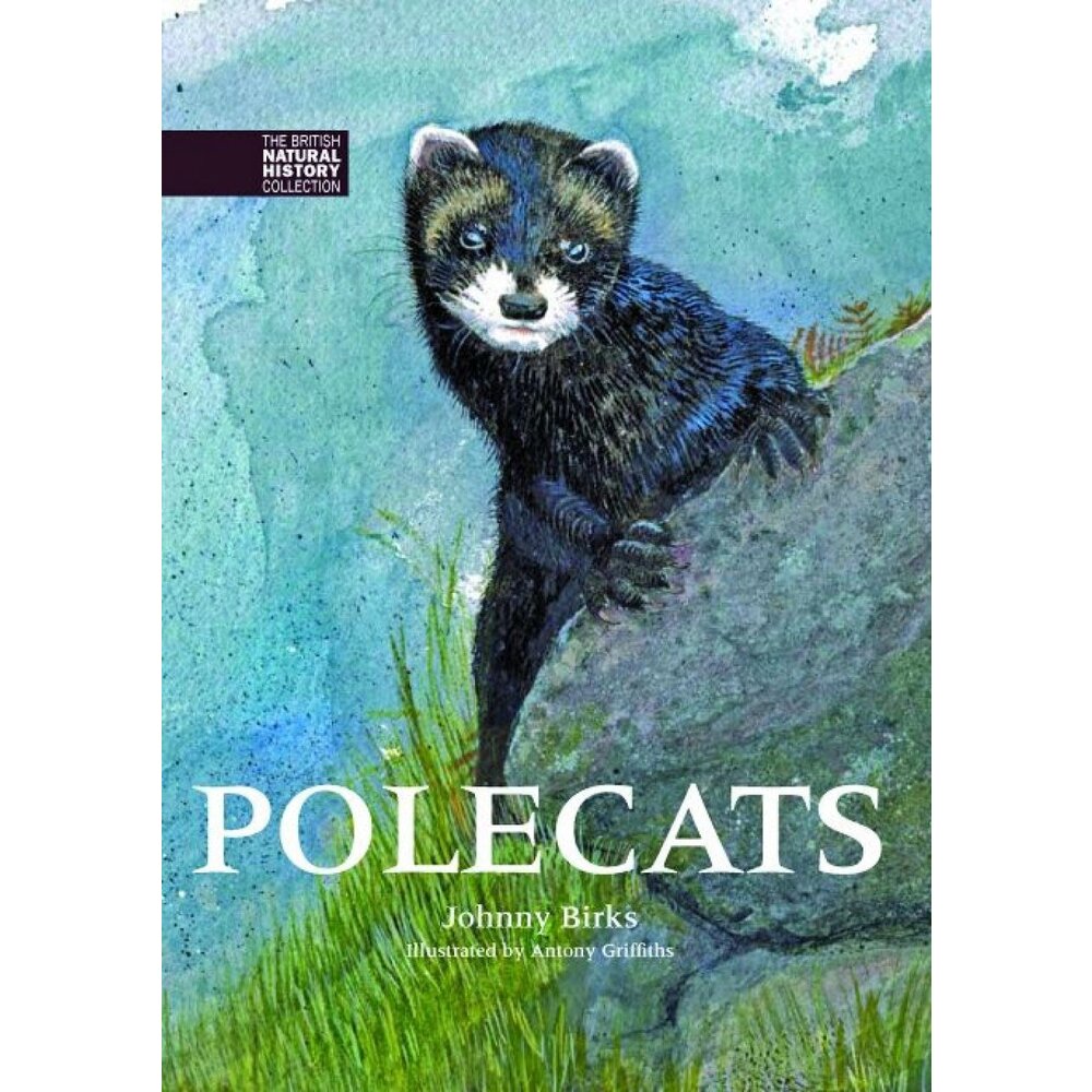 Polecats - Veldshop