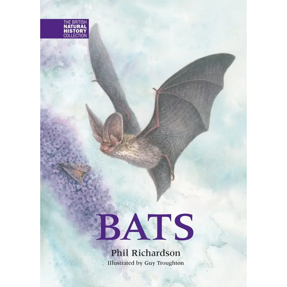 Bats - Veldshop