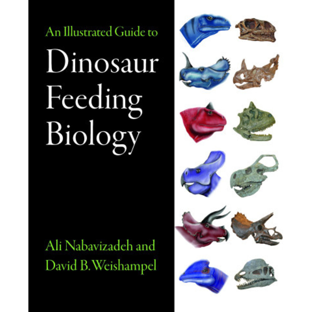 An Illustrated Guide to Dinosaur Feeding Biology - Veldshop