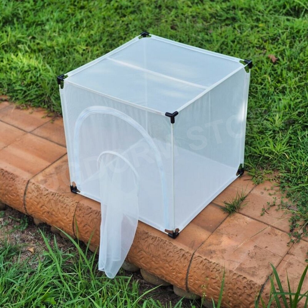 Bugdorm 4E4545 Insect Rearing Cage - Veldshop