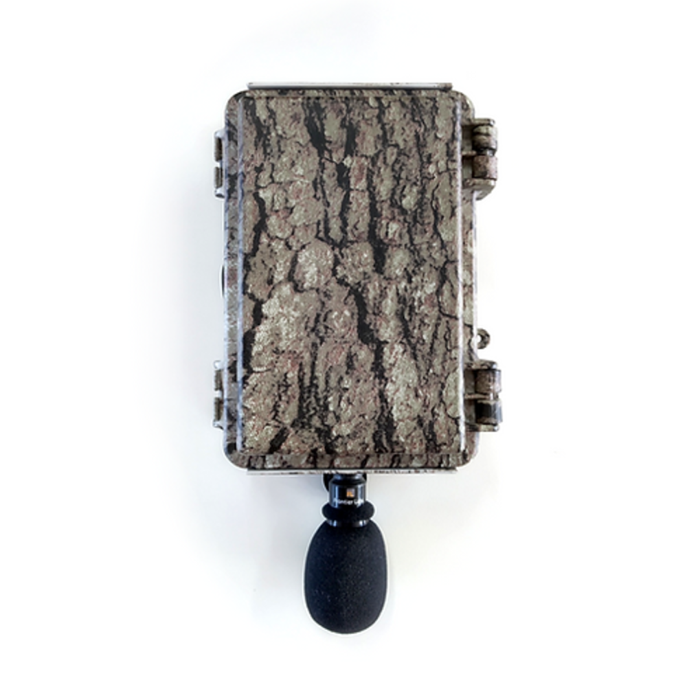 Frontier Labs BAR-LT Bioacoustic Recorder - Veldshop