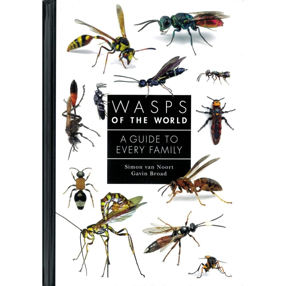 Wasps of the World - A Guide to Every Family - Veldshop