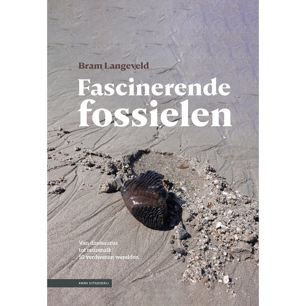 Fascinerende fossielen - Van dinosaurus tot reuzenalk: 50 verdwenen we ...