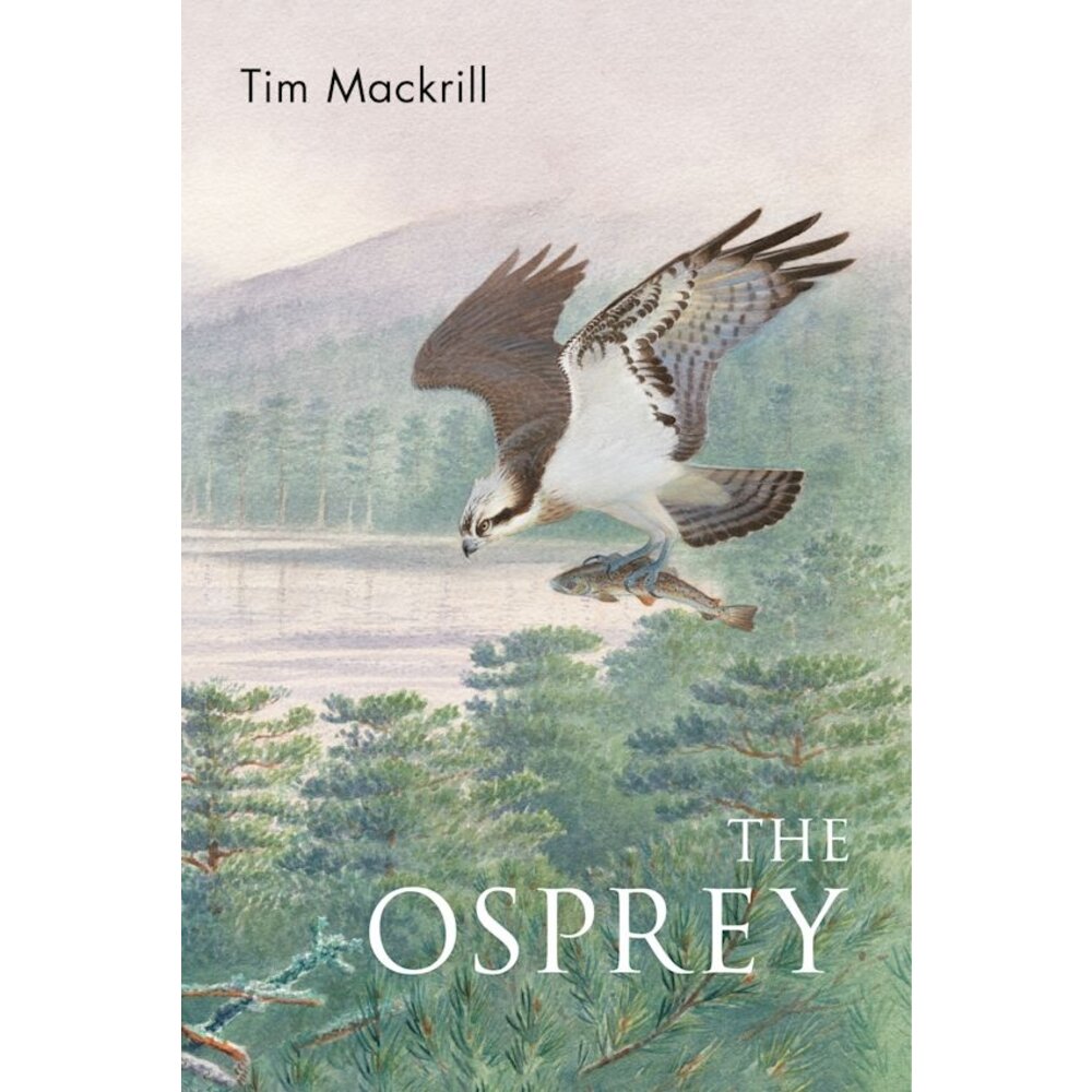 The Osprey - Veldshop