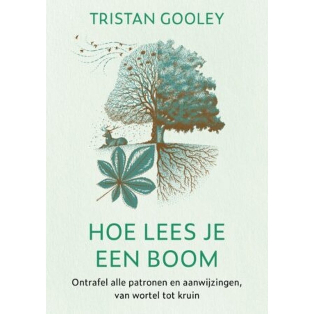 Hoe lees je een boom - Veldshop