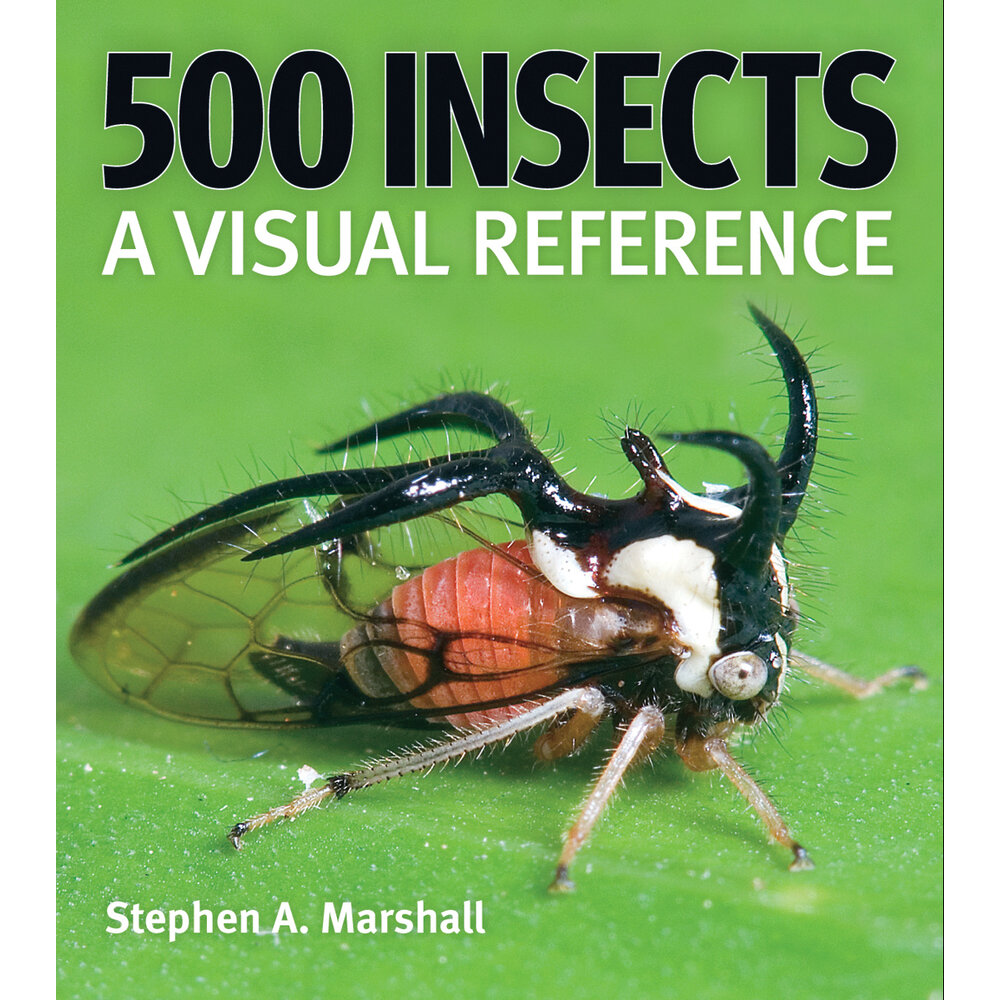 500 Insects - Veldshop