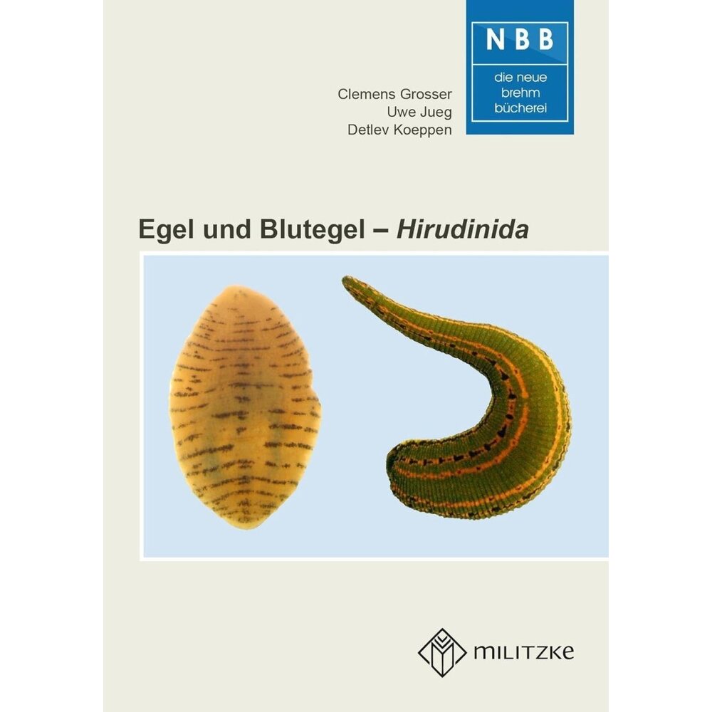 Egel und Blutegel - Hirudinida - Veldshop