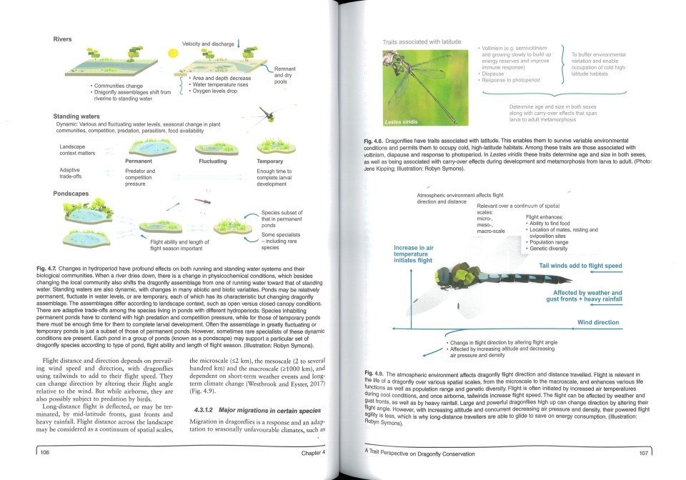 Conservation of Dragonflies - Sentinels for Freshwater Conservation ...