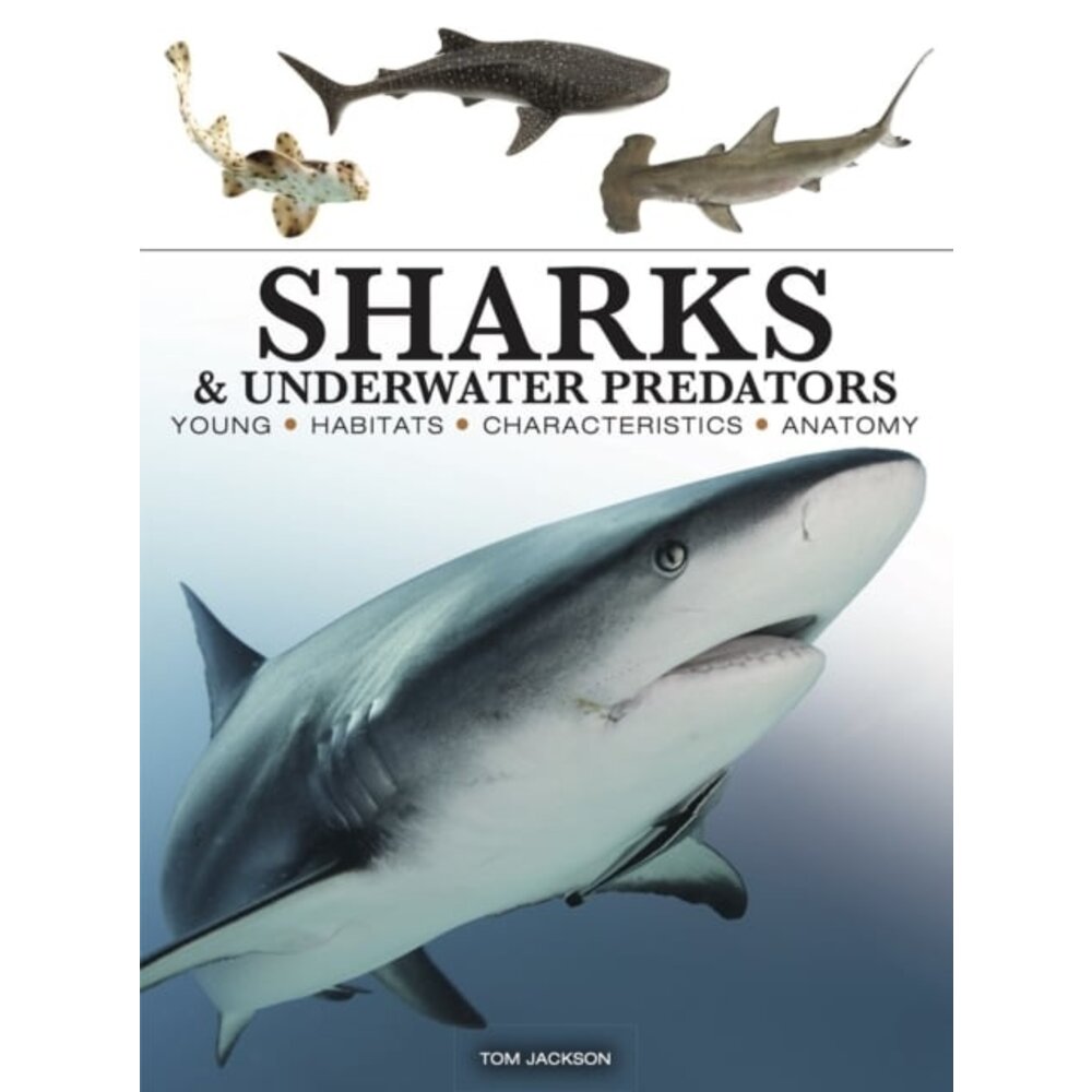 Sharks & Underwater Predators - Veldshop.nl