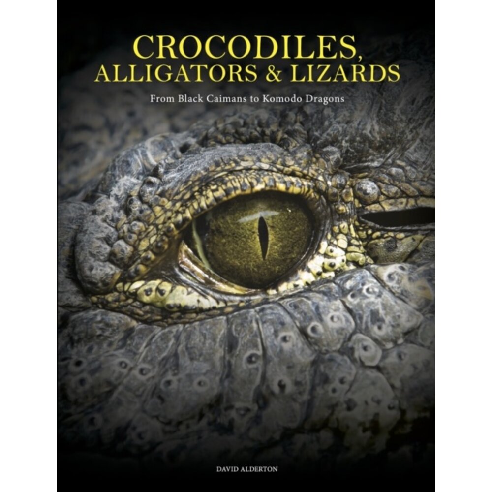 Crocodiles, Alligators & Lizards - Veldshop