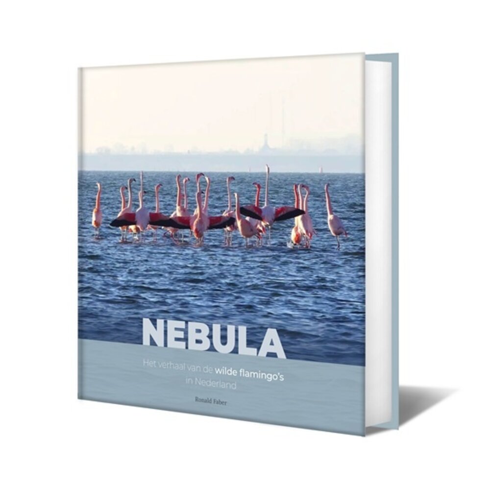 Nebula - Veldshop.nl