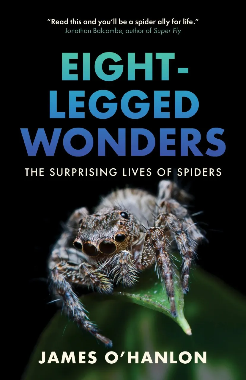 Eight-Legged Wonders -The Surprising Lives of Spiders - Veldshop