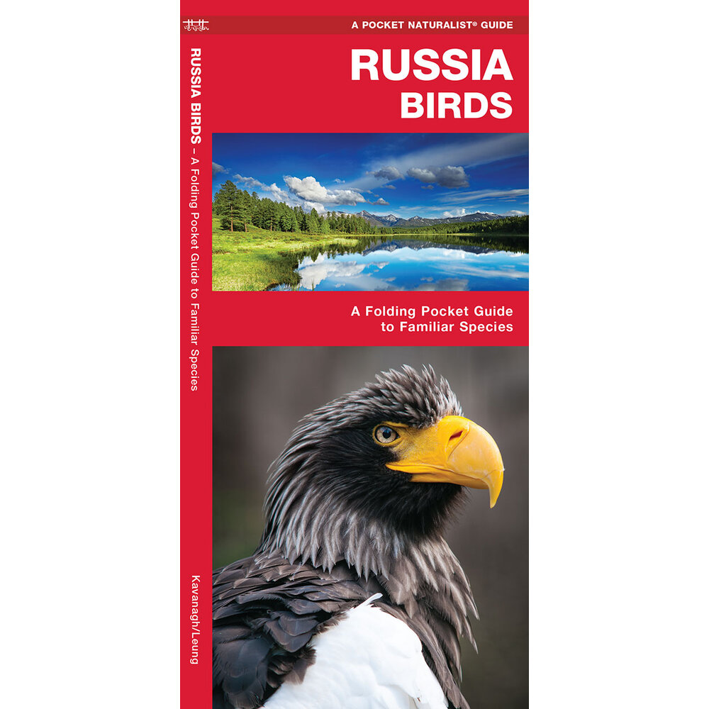 Russia Birds - A Folding Pocket Guide to Familiar Species - Veldshop