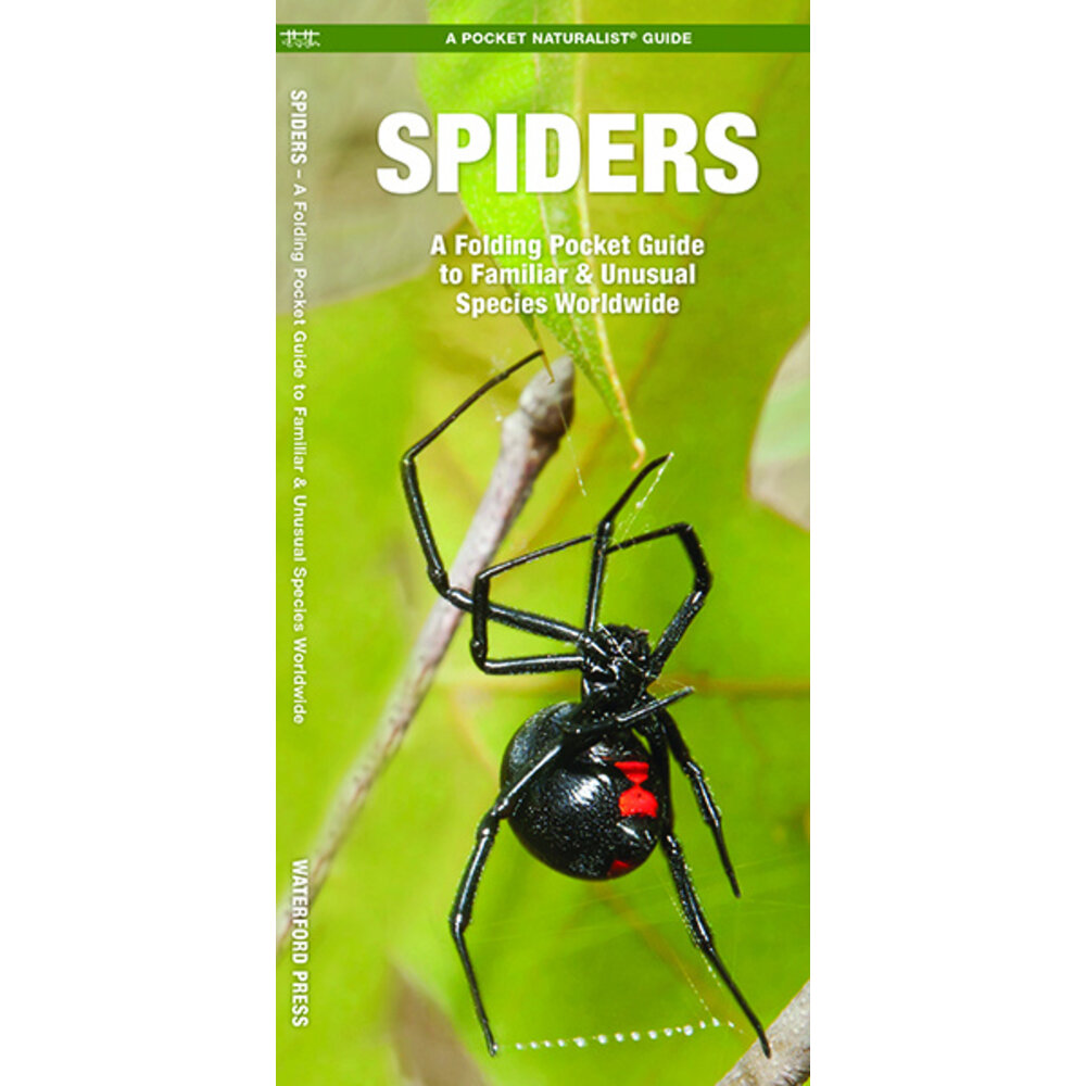 Spiders - A Folding Pocket Guide to Familiar & Unusual Species ...
