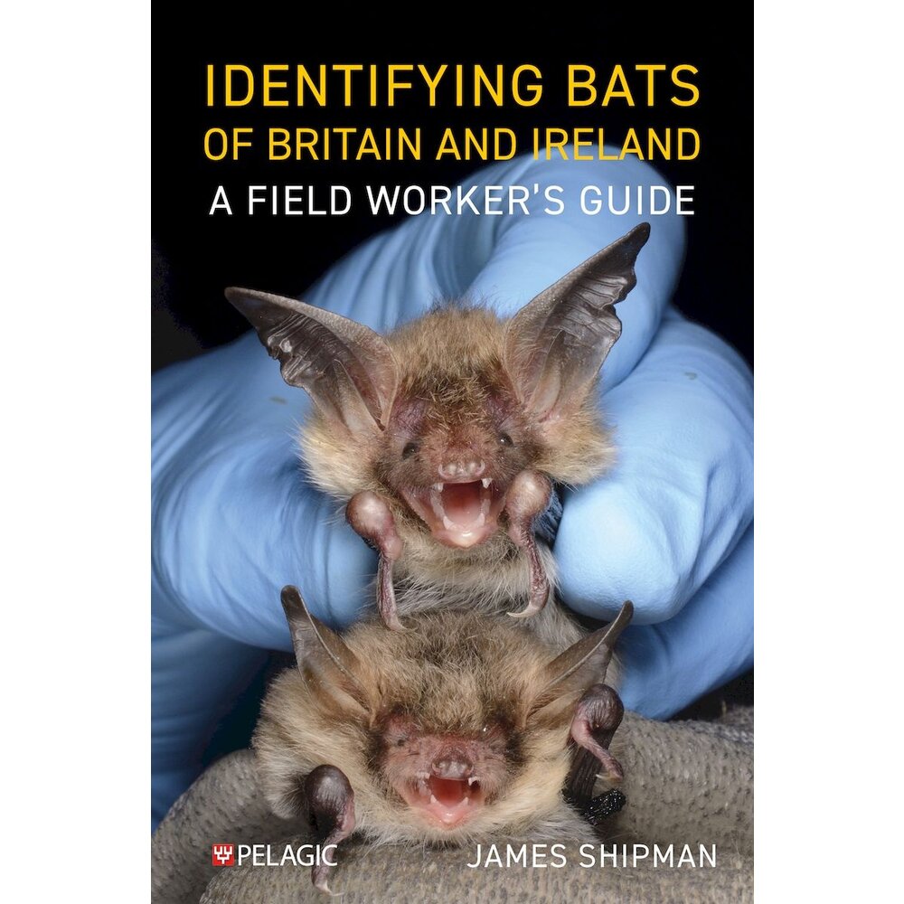 Identifying Bats of Britain and Ireland - A Field Worker’s Guide - Veldshop