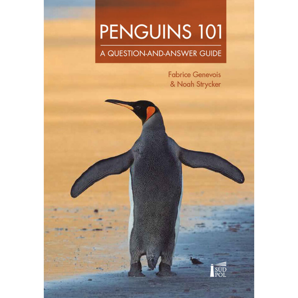 Penguins 101 - A Question-and-Answer Guide - Veldshop