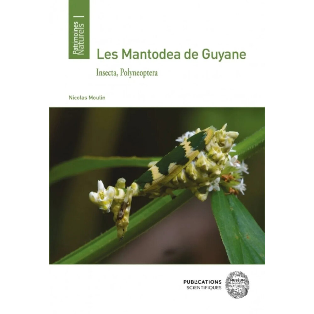 Les Mantodea de Guyane - Insecta, Polyneoptera - Veldshop