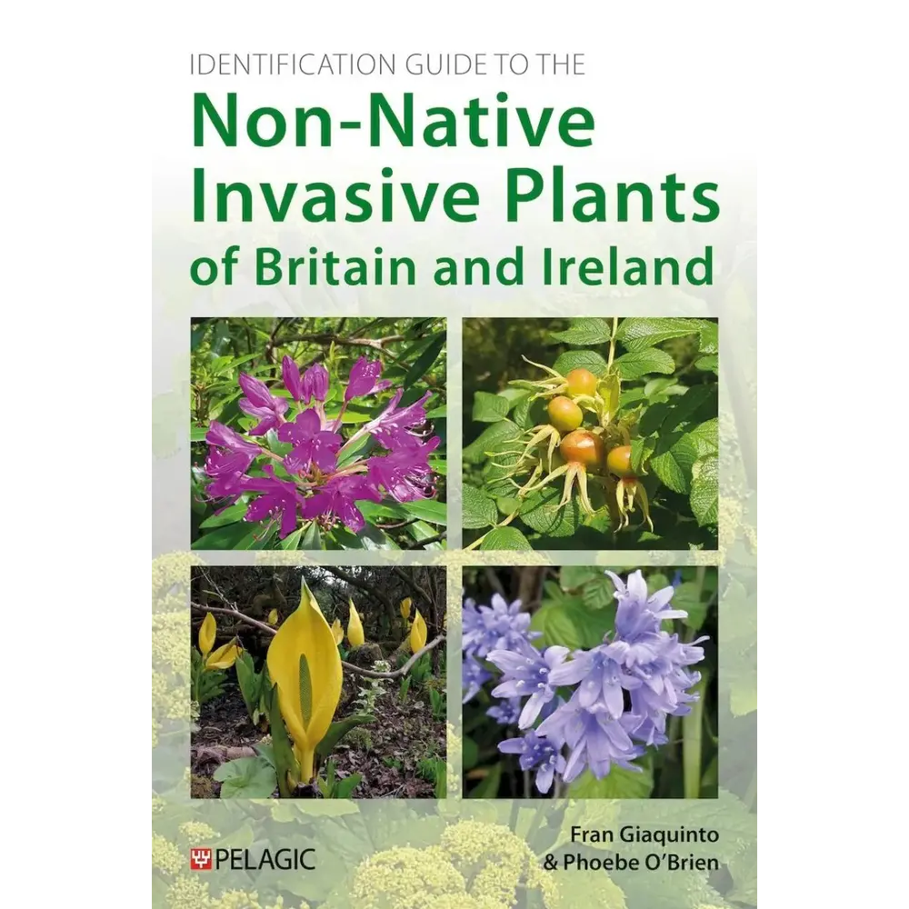 Non Invasive Plants