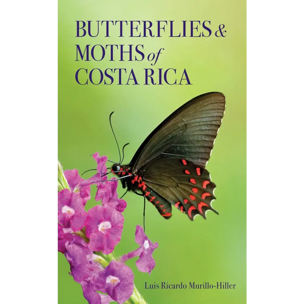 Butterflies and Moths of Costa Rica - Veldshop