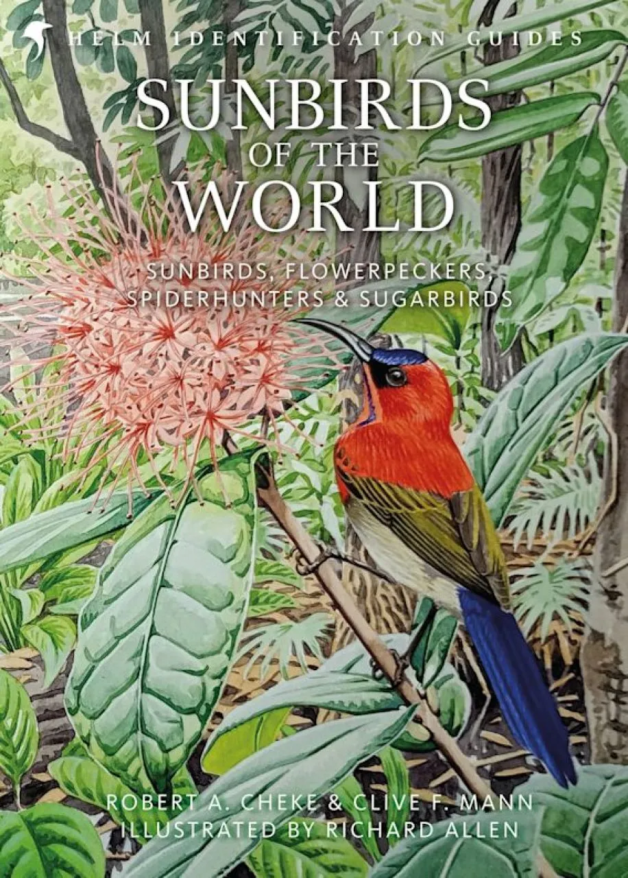Sunbirds of the World - Veldshop