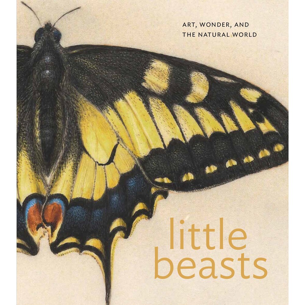 Little Beasts: Art, Wonder, and the Natural World - Veldshop