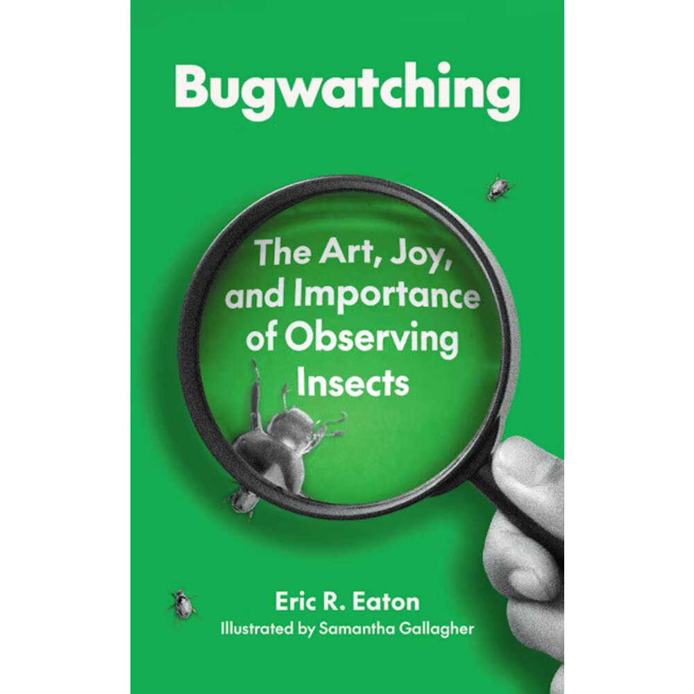 Bugwatching: The Art, Joy, and Importance of Observing Insects - Veldshop