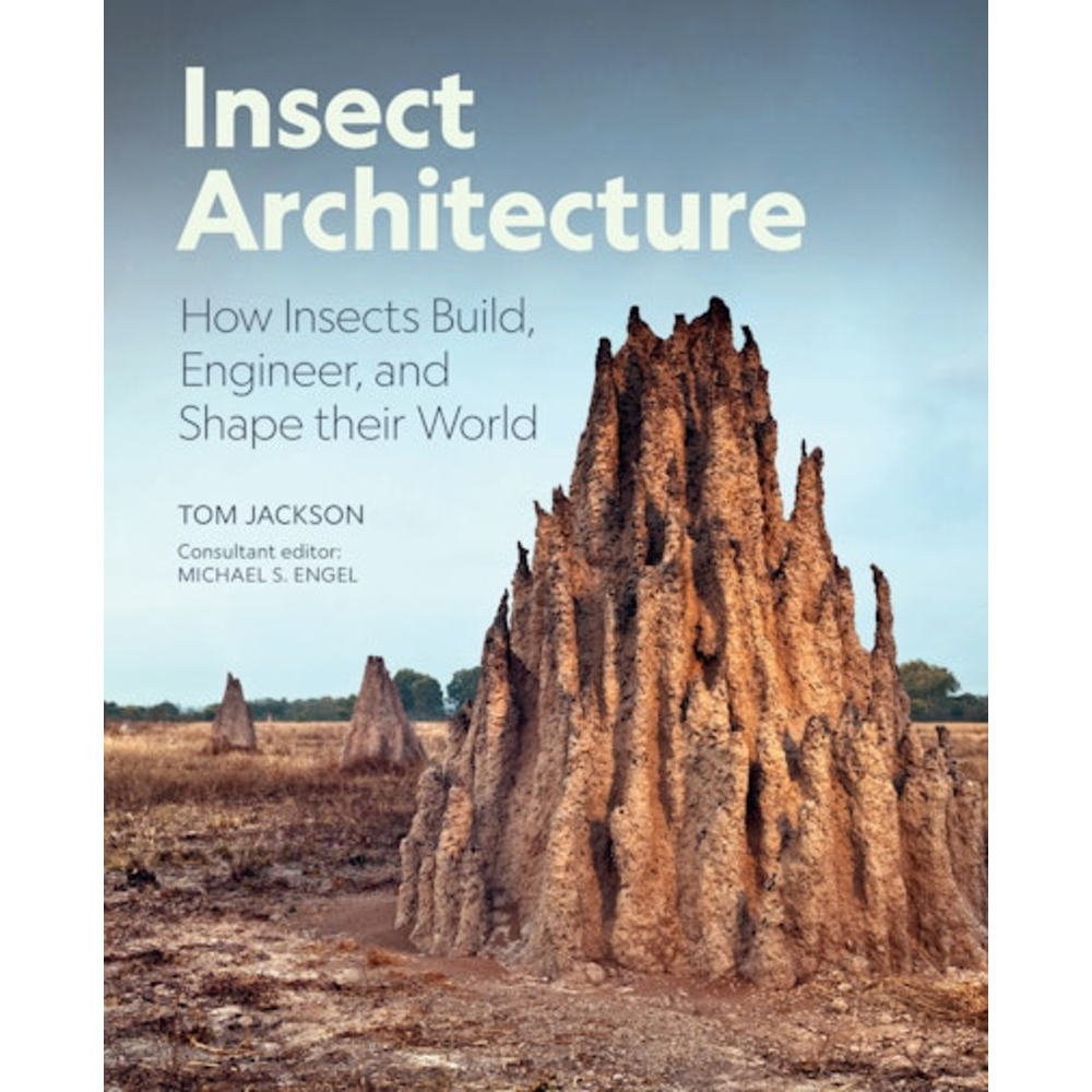 Insect Architecture: How Insects Build, Engineer, and Shape Their World ...