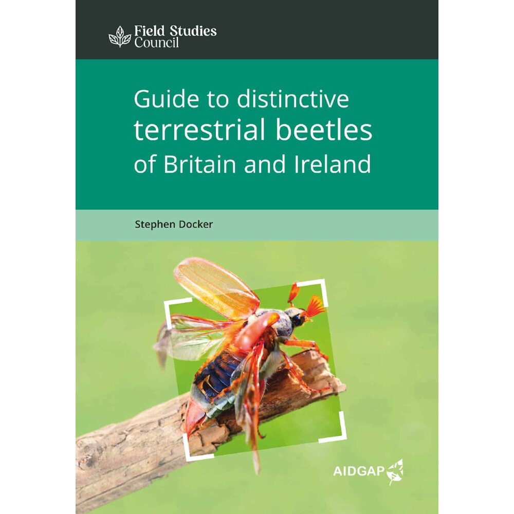 Guide to Distinctive Terrestrial Beetles of Britain and Ireland - Veldshop