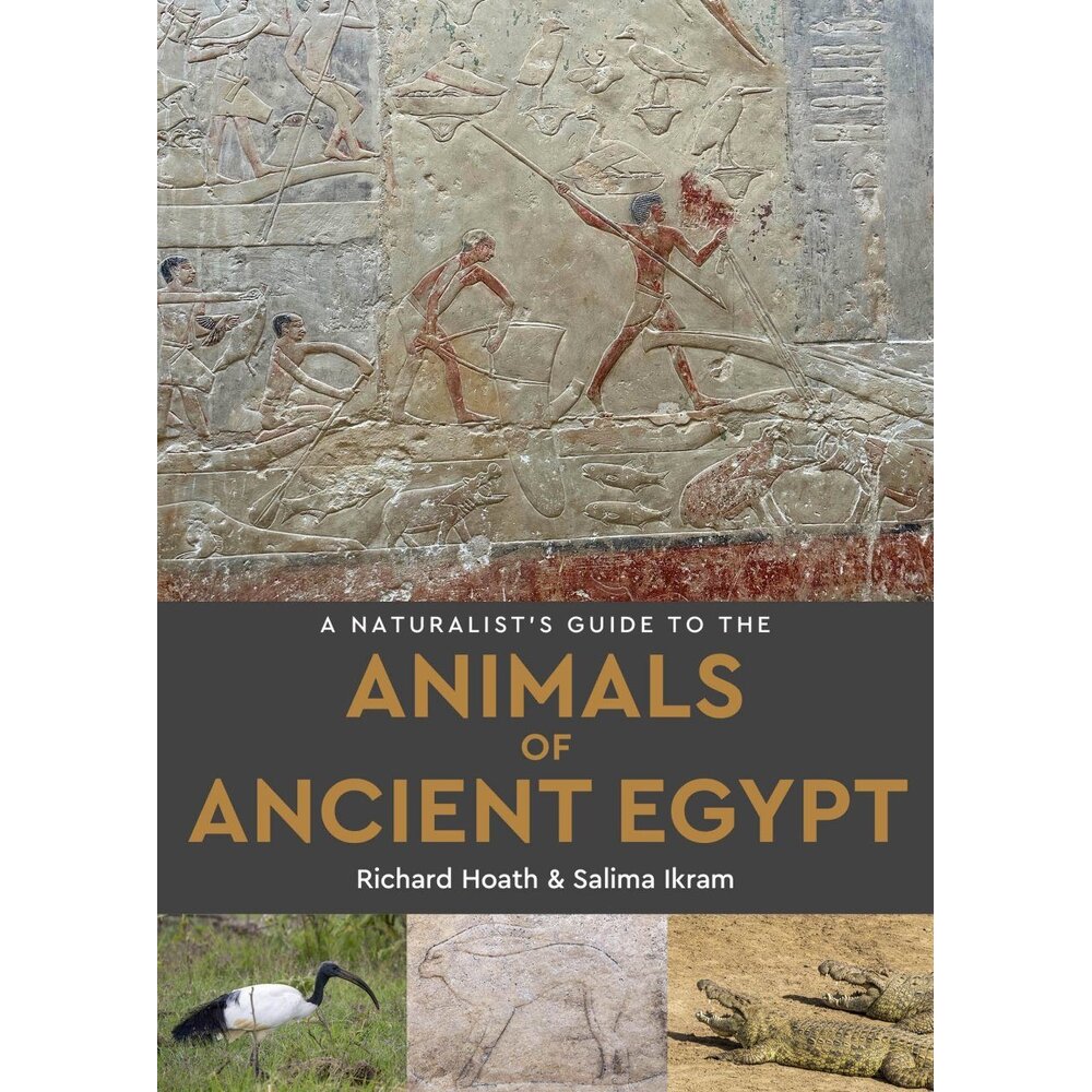 The Animals of Ancient Egypt - Veldshop