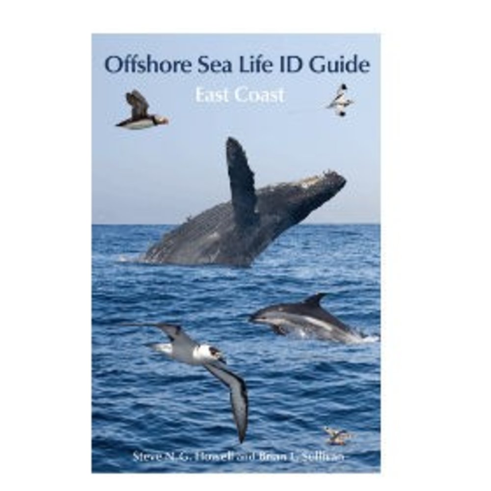 Offshore Sea Life ID Guide - East Coast - Veldshop