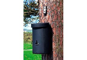 Bat Boxes for Trees - Veldshop.nl