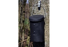Bat Boxes for Trees - Veldshop.nl