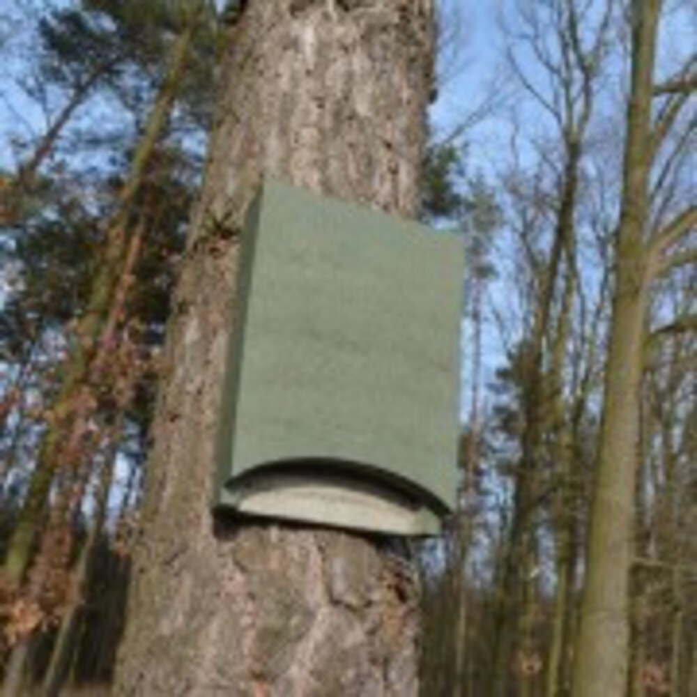 ANS-1 Bat Box - Veldshop