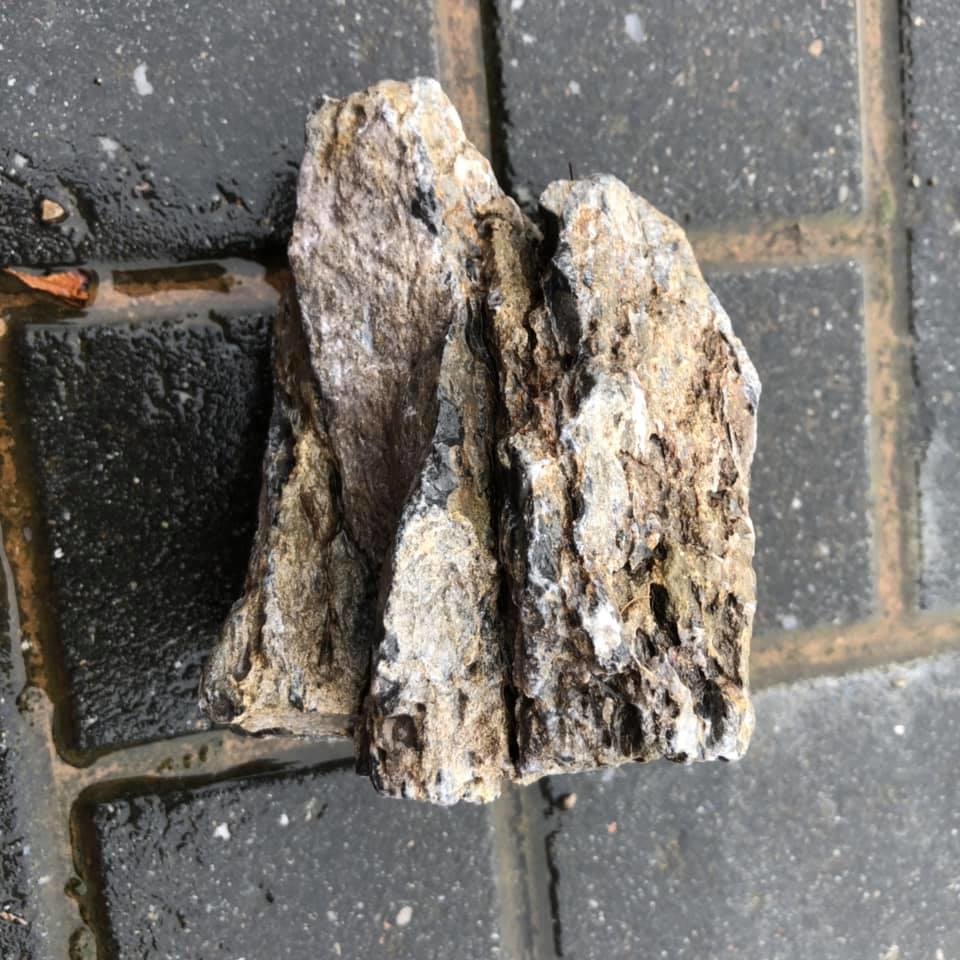 Ryuoh Stone | Decoratieve Aquarium Steen - Onlineaquariumspullen