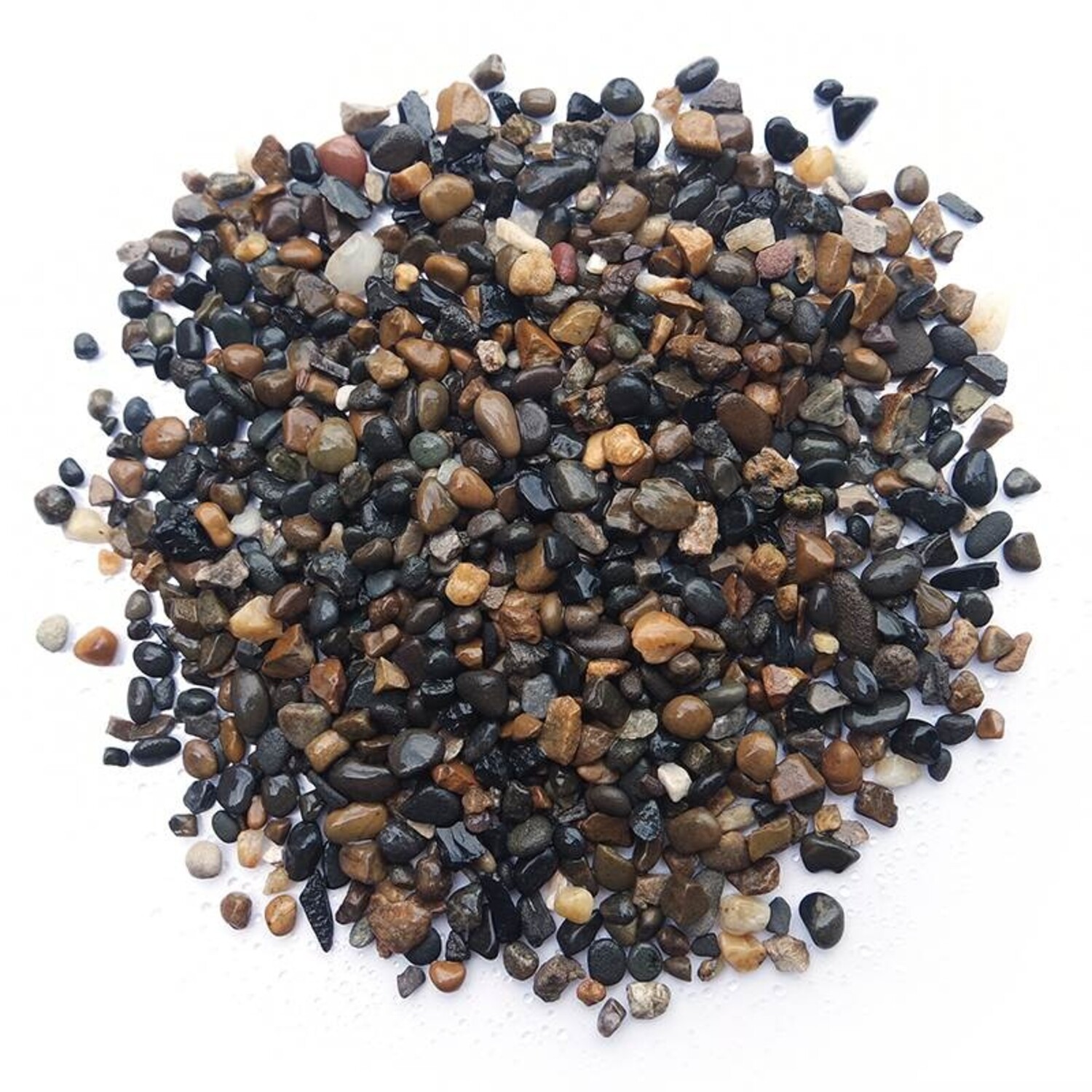 Kusa Seeds