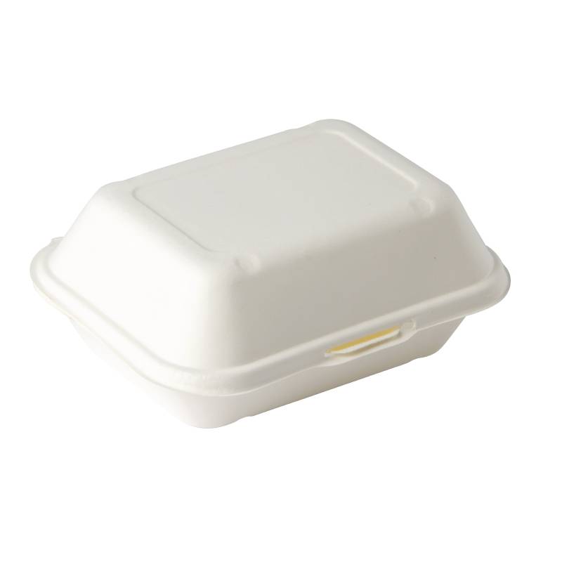 Buy Recyclable fast food box (250 pieces) online - HorecaTraders