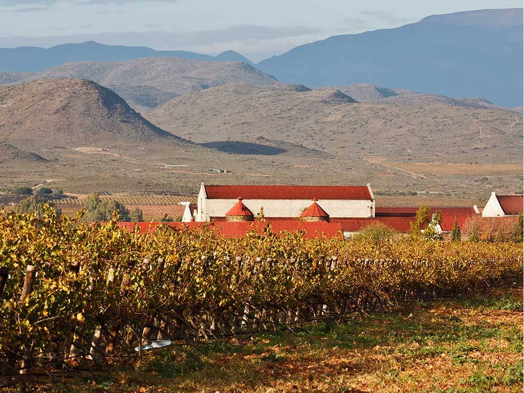 Whole Berry Cabernet Sauvignon Springfield Estate - Robertson Valley ...