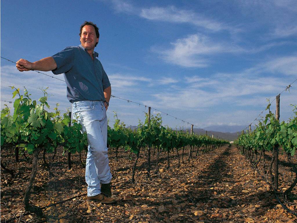 Whole Berry Cabernet Sauvignon Springfield Estate - Robertson Valley ...