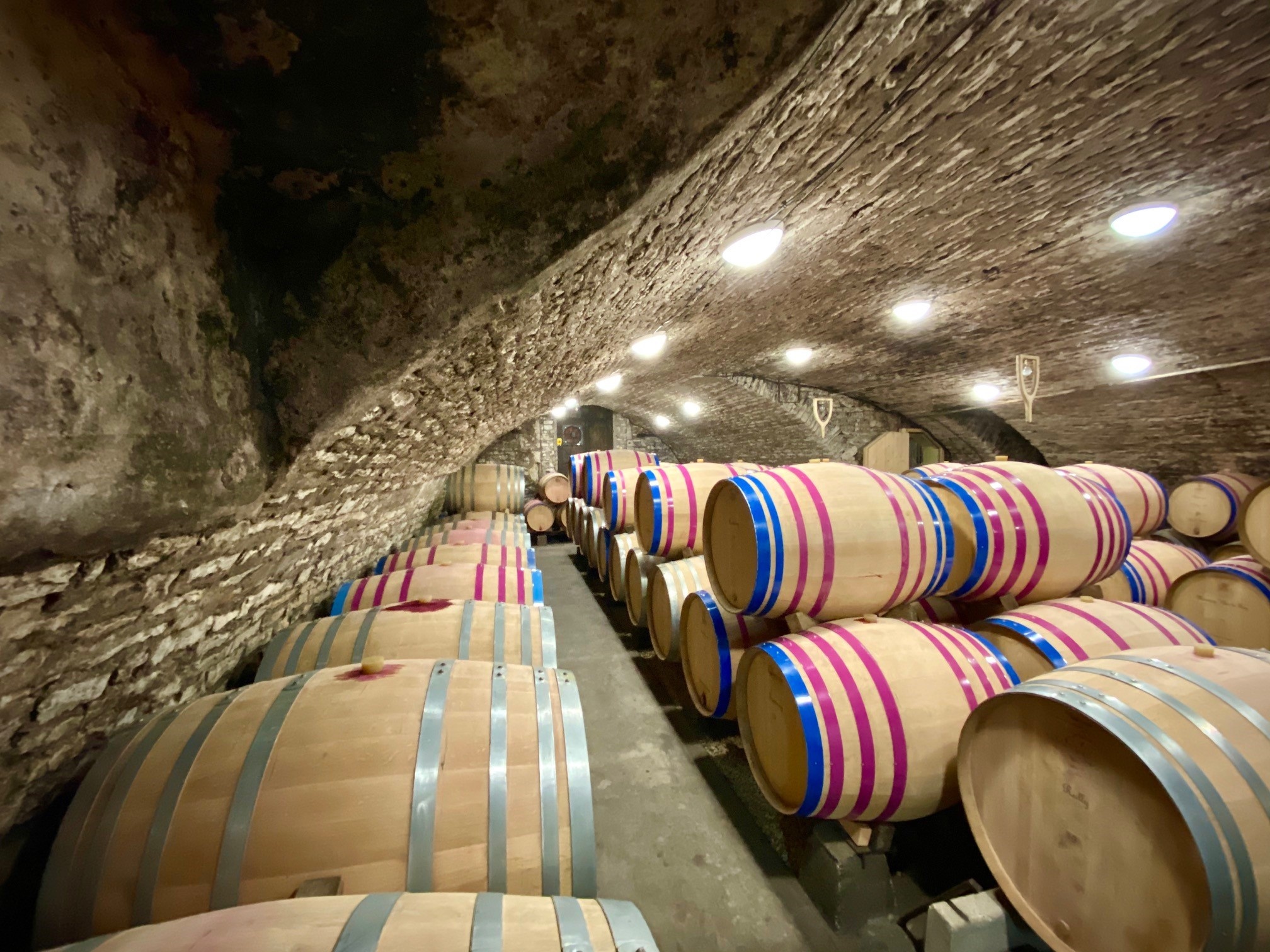 Bourgogne Pinot Noir Les Fortunés 2022 Maison Chanzy - Bourgogne ...