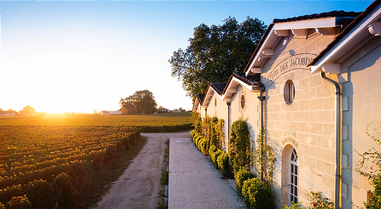 Château La Commanderie Saint-Émilion Grand Cru Classé 2020 - Saint ...