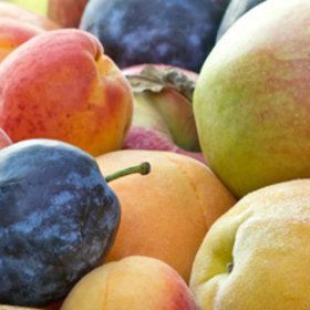 Leifruit | Tuinplantenwinkel.nl